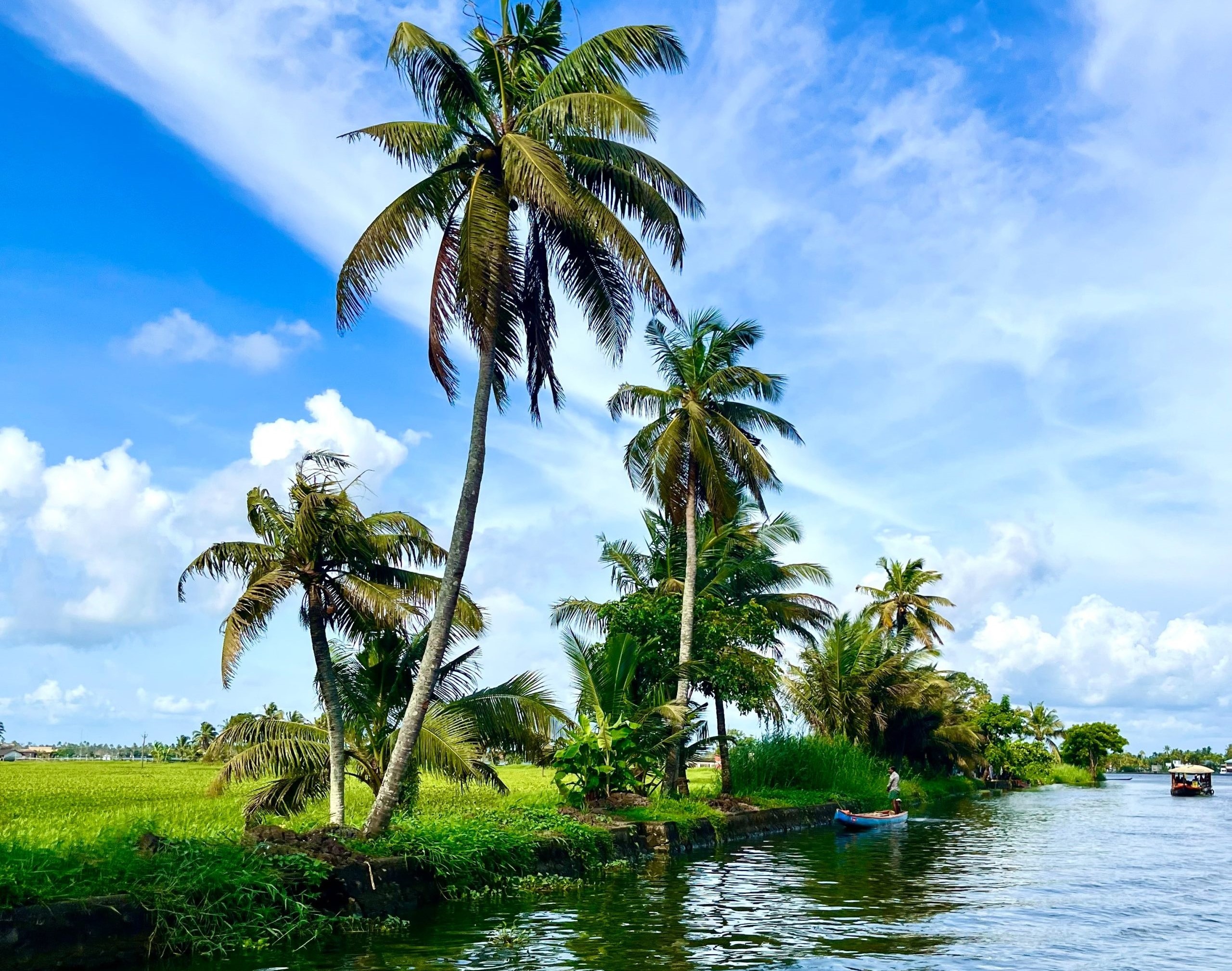 The Beauty of Alleppey | Backwater Bliss | KeralaDiaries